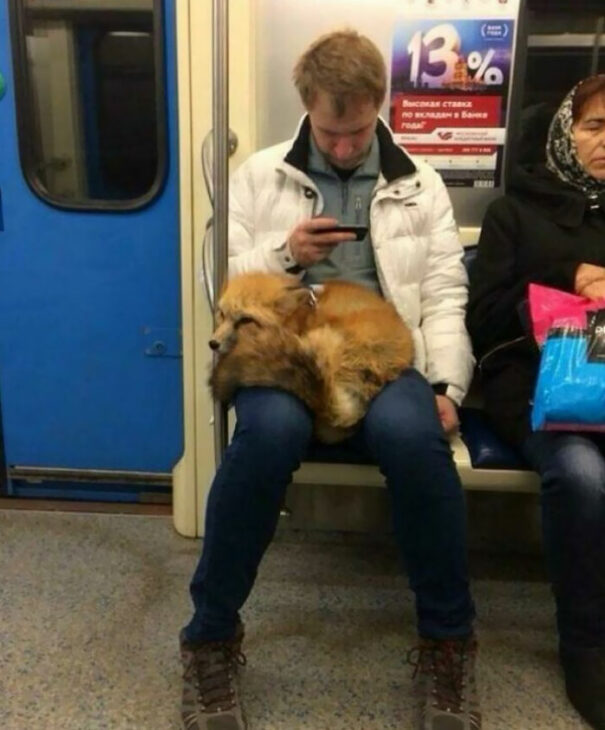 30 Funny And Strange Things Spotted On The Subway | DeMilked