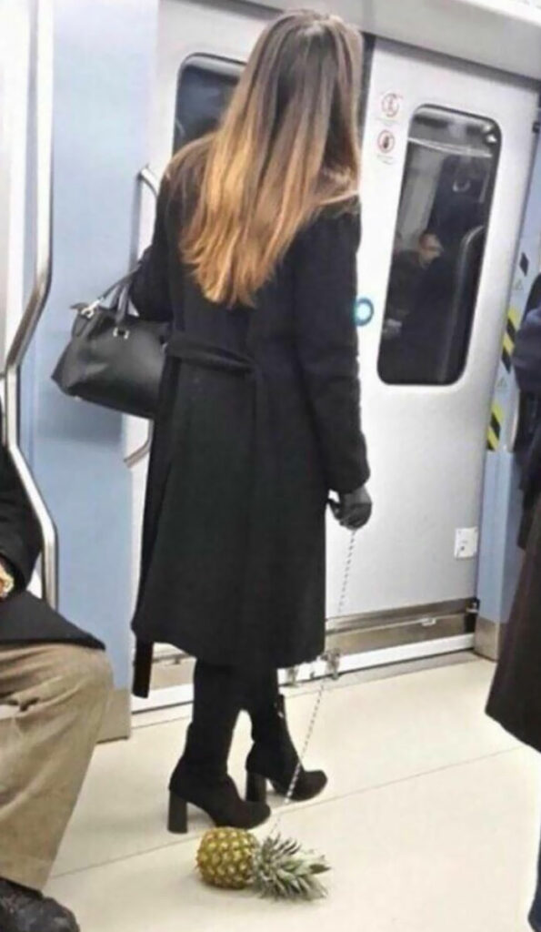 30 Funny And Strange Things Spotted On The Subway | DeMilked