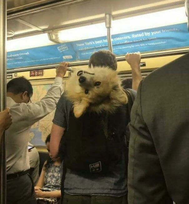30 Funny And Strange Things Spotted On The Subway | DeMilked