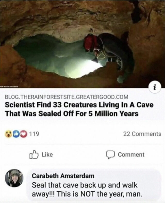 30 Hilarious Posts That Won The 'Comments Award' By This IG Page | DeMilked