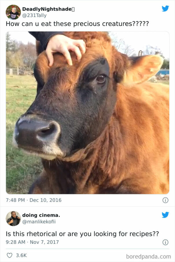 30 Hilarious Posts That Won The 'Comments Award' By This IG Page | DeMilked