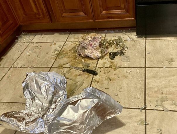 Thanksgiving Didn't Go As Planned For These People (30 Pics) | DeMilked