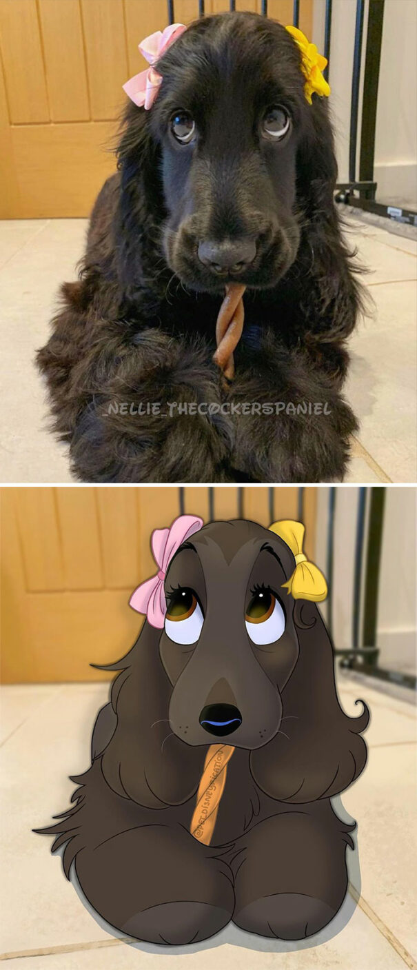 20 Illustrations Of Disneyfied Pets By Isa Bredt (New Pics) | DeMilked