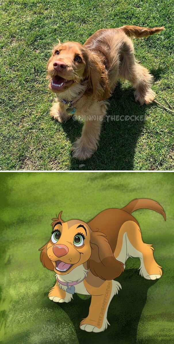 20 Illustrations Of Disneyfied Pets By Isa Bredt (New Pics) | DeMilked