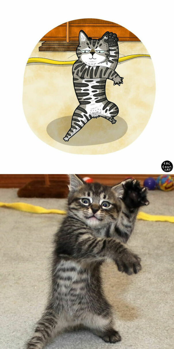 20 New Illustrations By Tactooncat Inspired By Hilarious Real Cat Pics ...