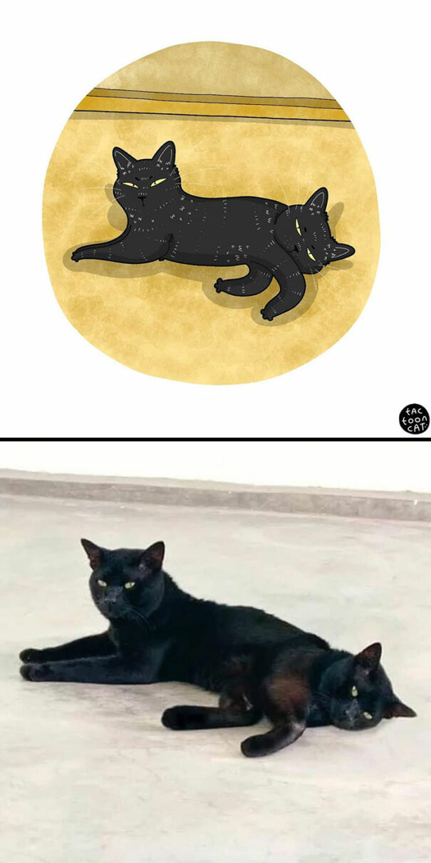 20 New Illustrations By Tactooncat Inspired By Hilarious Real Cat Pics ...