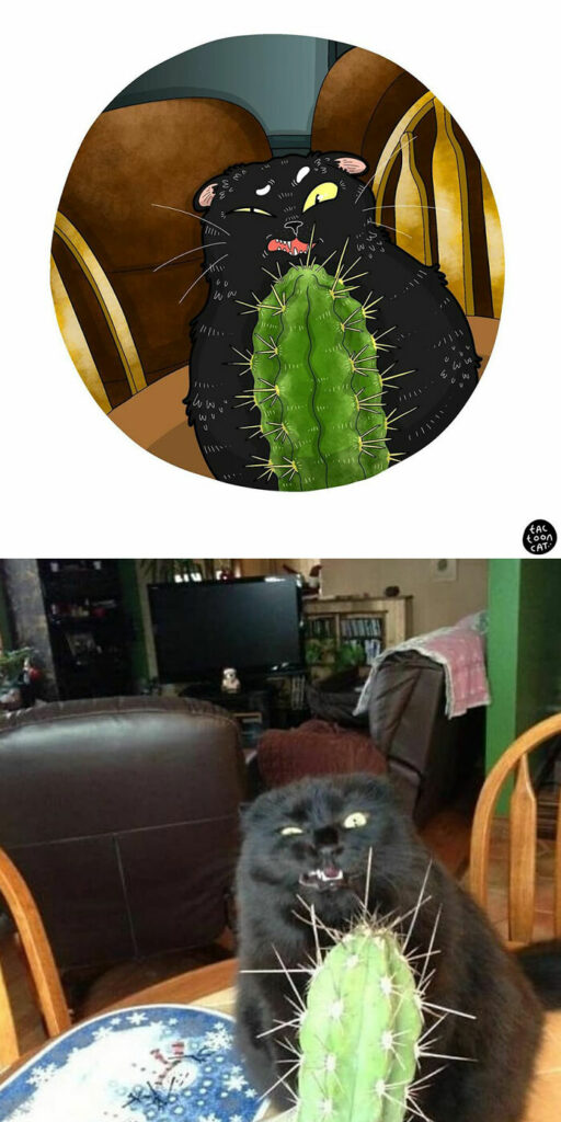 20 New Illustrations By Tactooncat Inspired By Hilarious Real Cat Pics ...