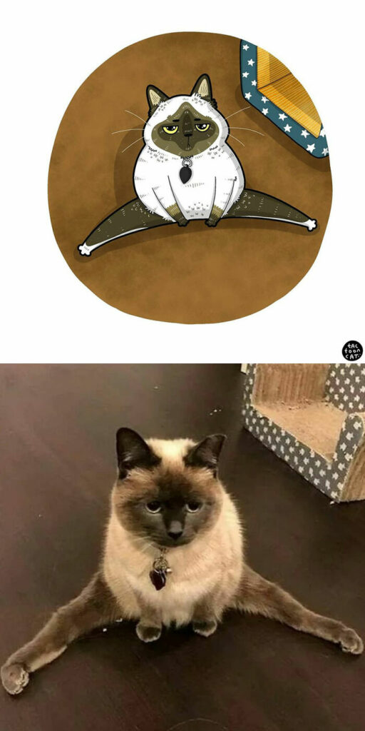 20 New Illustrations By Tactooncat Inspired By Hilarious Real Cat Pics ...