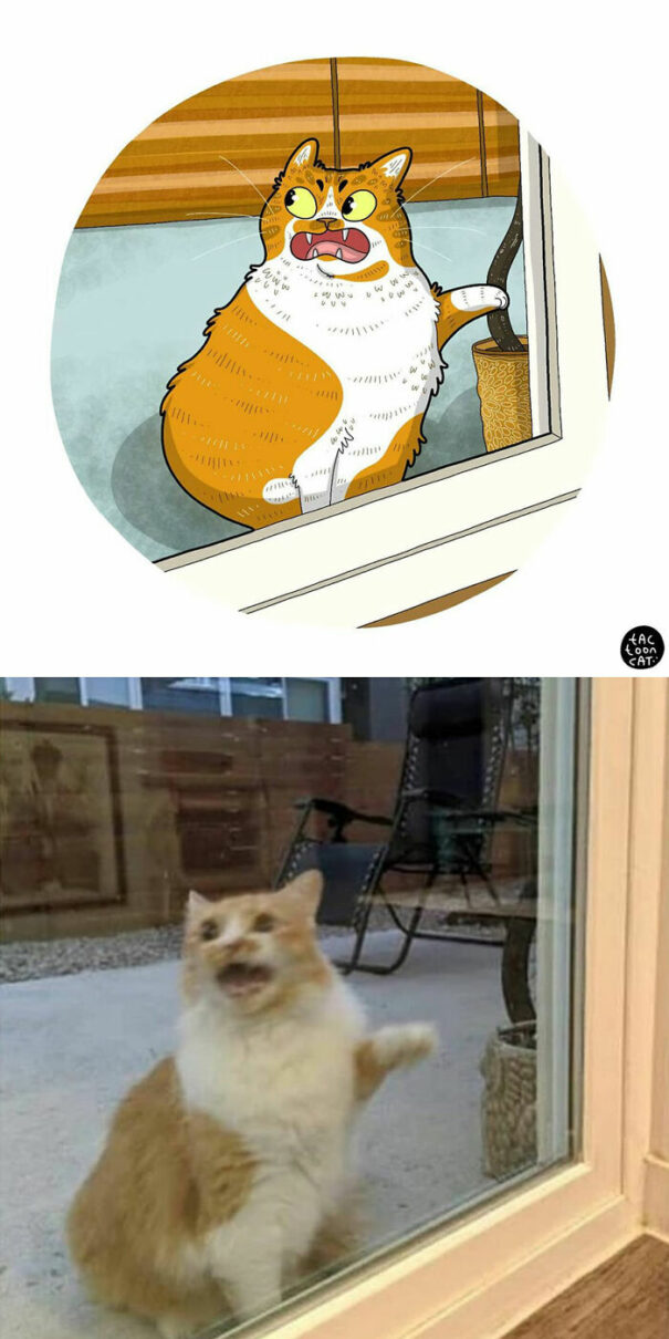 20 New Illustrations By Tactooncat Inspired By Hilarious Real Cat Pics ...