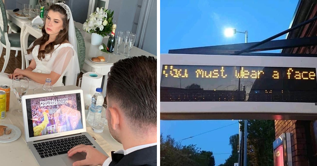 30 Funny Photos Without Context That Get Weirder The Longer You Look At ...