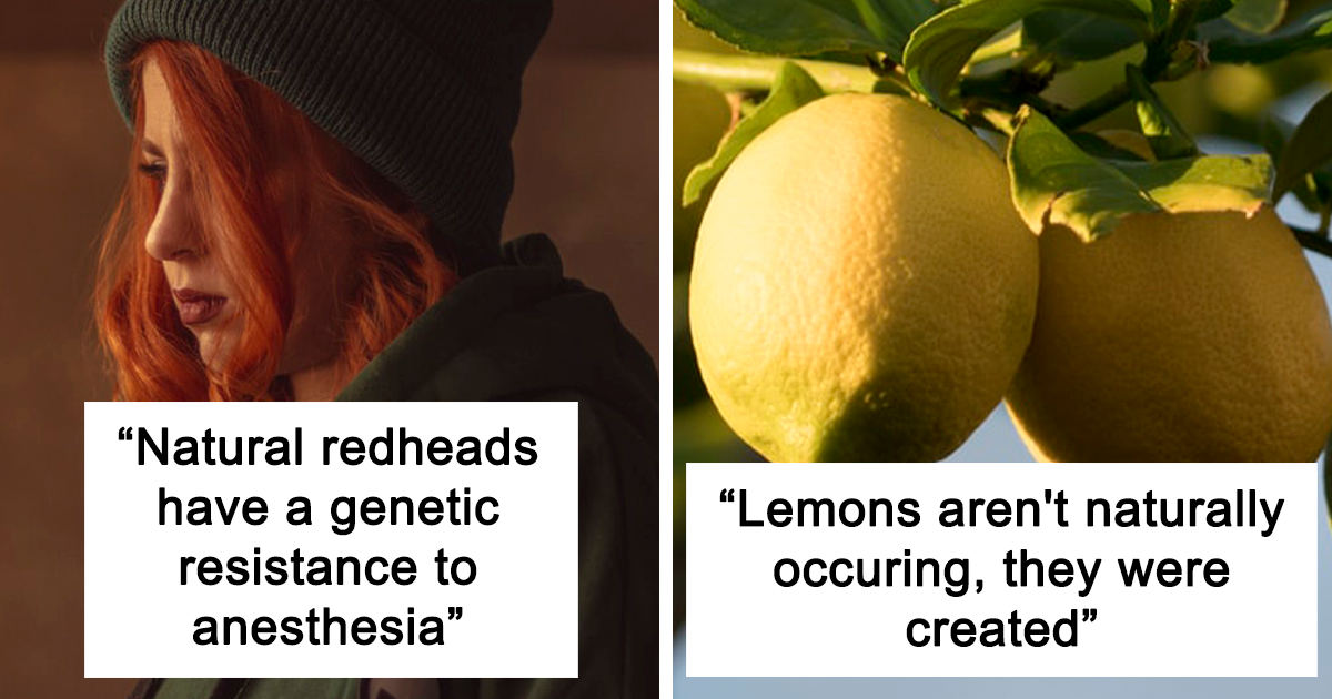 20 Times People Shared Amazing Facts That Are Hard To Believe | DeMilked