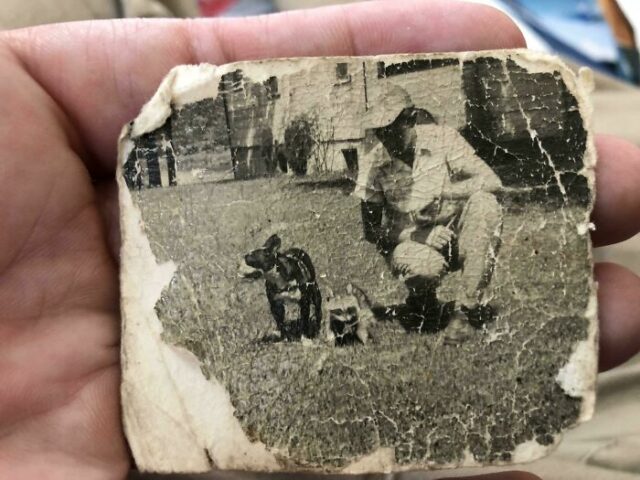 30 Times People Found Surprising Things In Unexpected Places | DeMilked