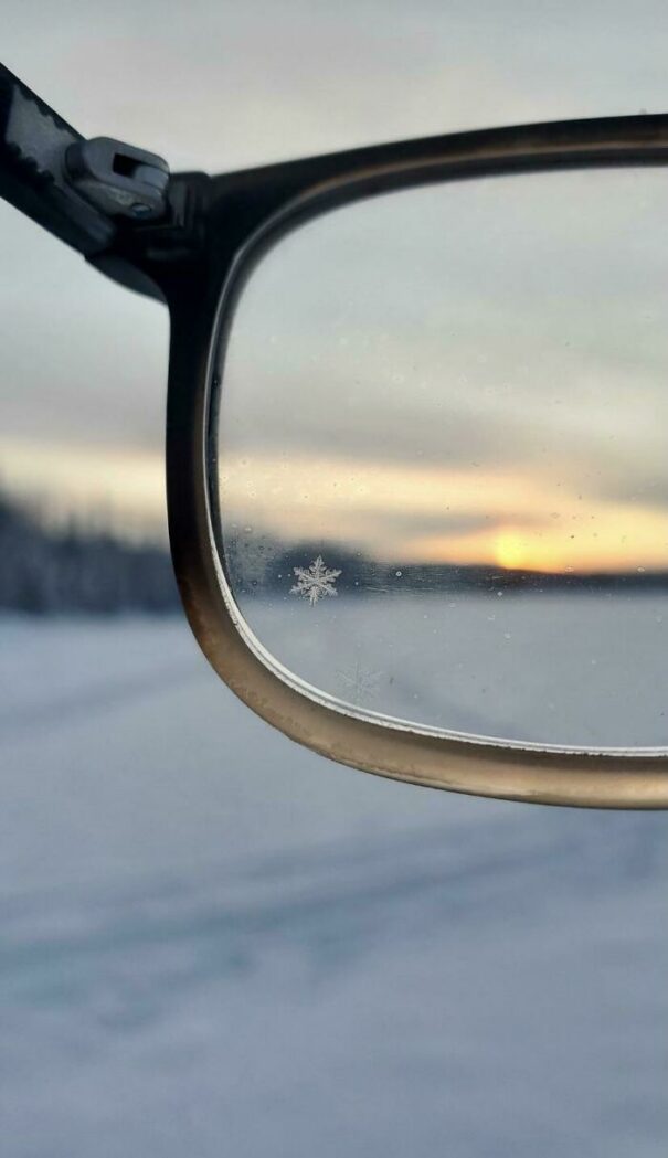 30 Times People Found Surprising Things In Unexpected Places | DeMilked
