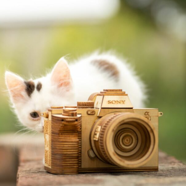 20 Times This Artist Recreated Popular Camera Models By Carving Wood In ...