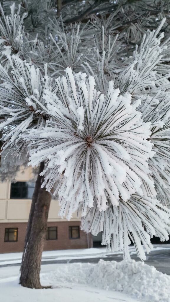 30 Times Winters Were So Chilly, People Just Had To Document It | DeMilked