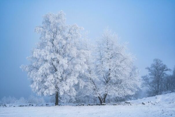 30 Times Winters Were So Chilly, People Just Had To Document It | DeMilked