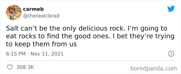 30 "Brand New" And Bizarre Sentences Created By People, As Shared By ...