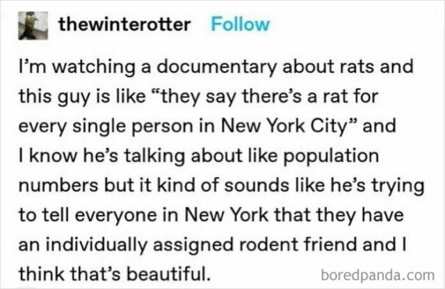 30 "Brand New" And Bizarre Sentences Created By People, As Shared By ...