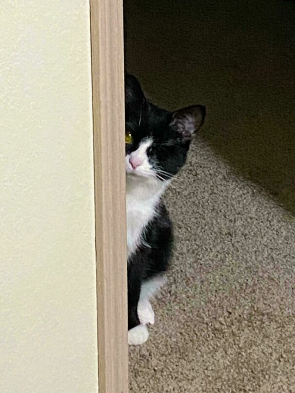 30 Random Pics That Might Entertain You, As Shared By ‘Mildly ...