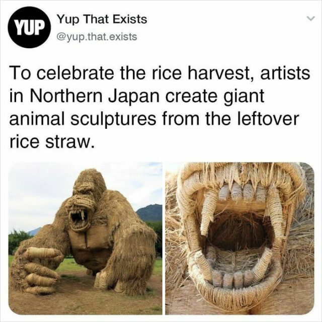 30 Times Instagram Page "Yup That Exists" Shared Fascinating Things You ...