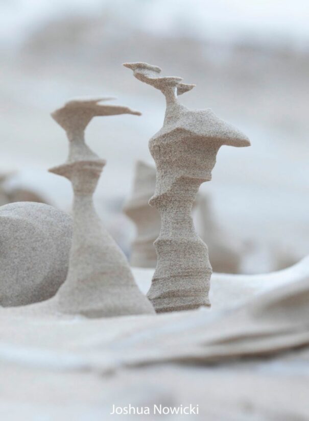 10 Times This Photographer Captured Sand Sculptures Naturally Carved By ...
