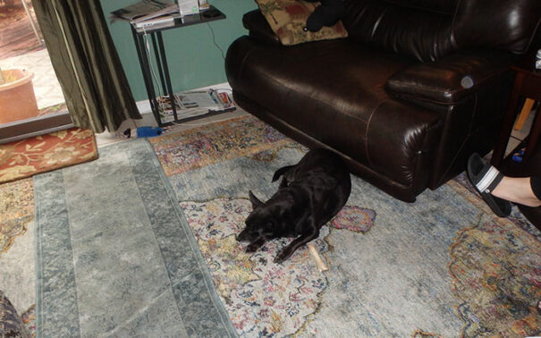 20 Times Employees Did Bizarre Things At Work, That Were Too Strange ...