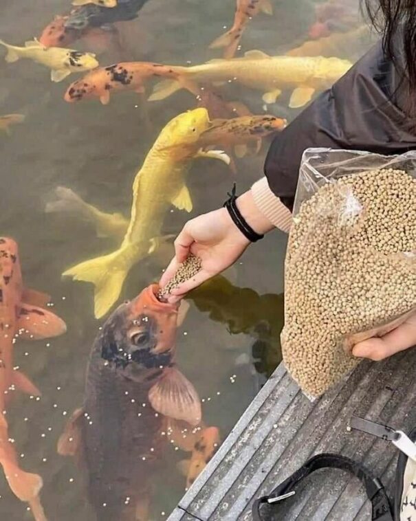 20 Examples Of People Being Ridiculous And Funny, As Shared On The ...