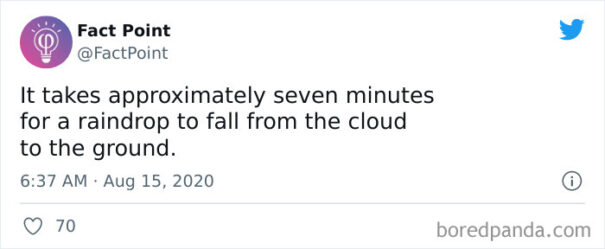 “Fact Point”: This Twitter Account Shares Interesting Facts About Our ...