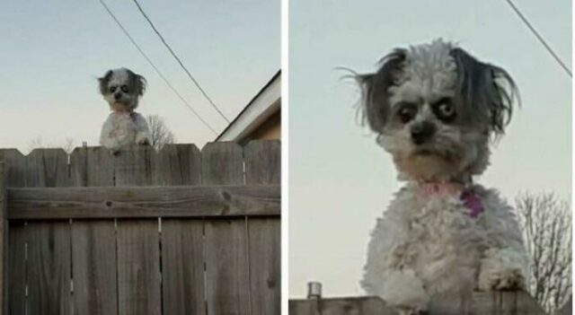 “Ok, I’m Outta Here”: 30 Disturbing And Creepy Images Captured On ...