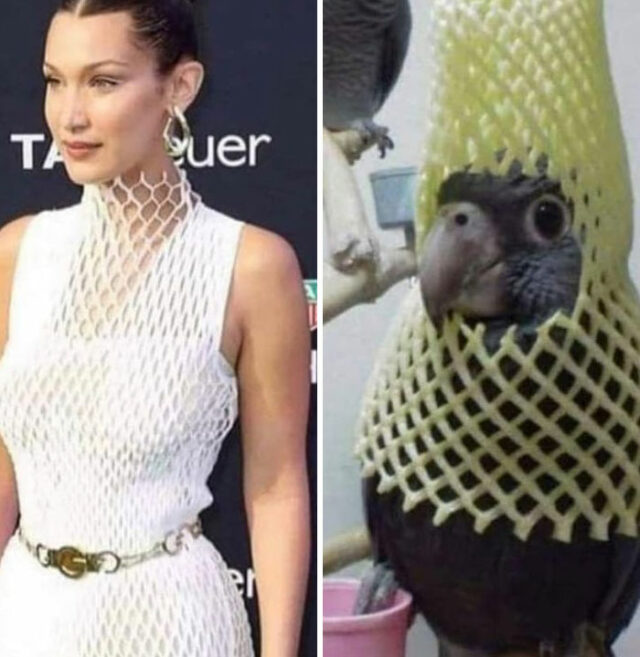 20 Dress Designs That Are So Bad, People Just Had To Share Them In This ...