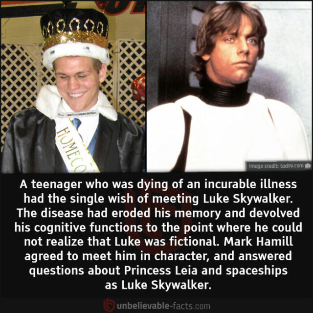 20 Times People Shared Random "Unbelievable Facts" On This Facebook ...