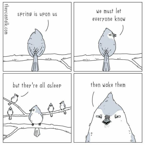 20 New Comics Featuring Talking Animals By Jimmy Craig | DeMilked