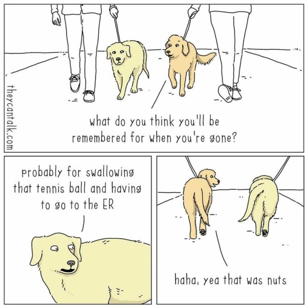 20 New Comics Featuring Talking Animals By Jimmy Craig | DeMilked