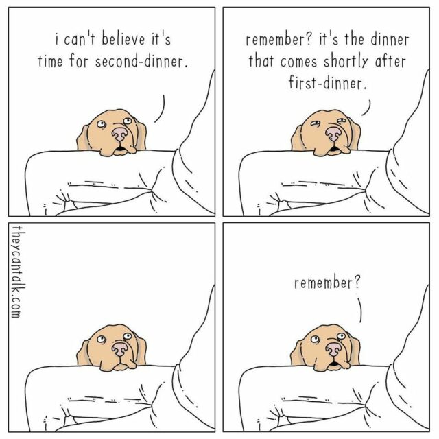 20 New Comics Featuring Talking Animals By Jimmy Craig | DeMilked