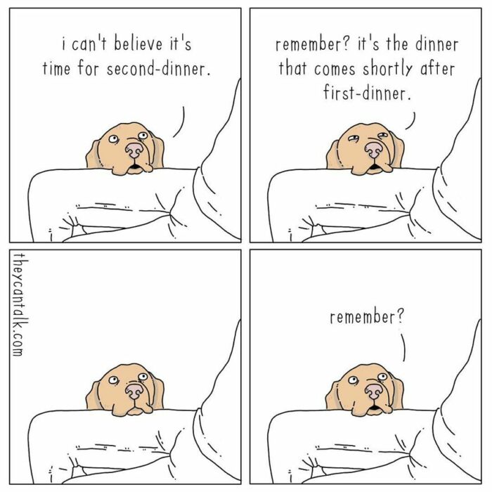 20 New Comics Featuring Talking Animals By Jimmy Craig | DeMilked