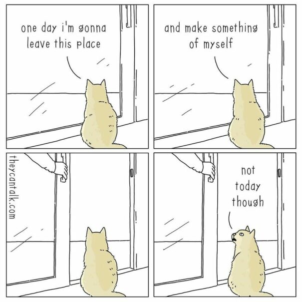 20 New Comics Featuring Talking Animals By Jimmy Craig | DeMilked