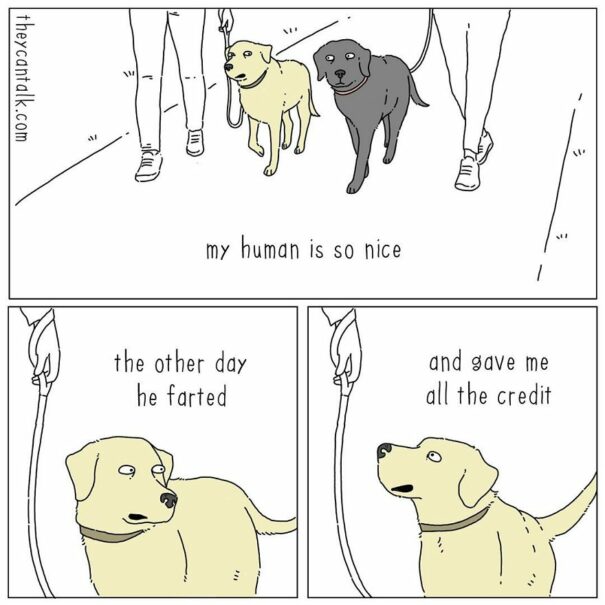 20 New Comics Featuring Talking Animals By Jimmy Craig | DeMilked