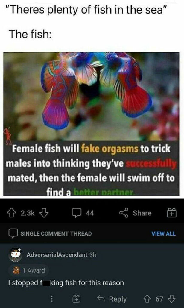 30 'Cursed Comments' That Will Make You Question 'WTH Did I Just Read ...