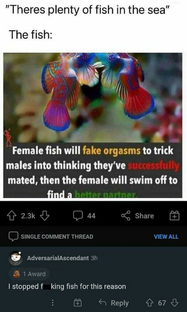 30 'Cursed Comments' That Will Make You Question 'WTH Did I Just Read ...