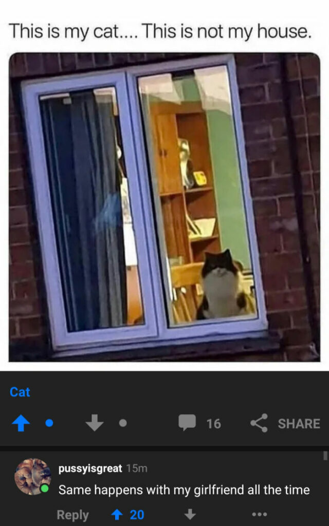 30 'Cursed Comments' That Will Make You Question 'WTH Did I Just Read ...