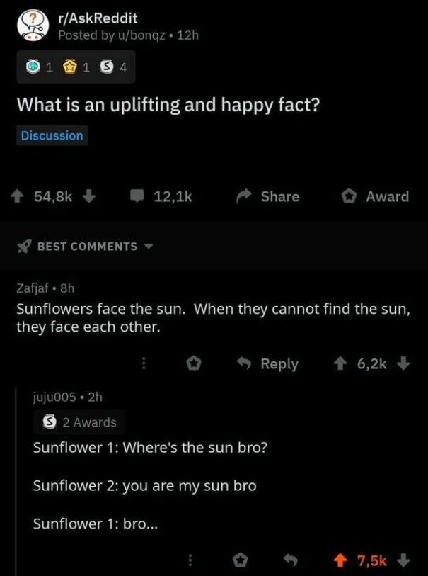 30 Funny And Witty Comments Spotted Online, As Shared By This Facebook ...