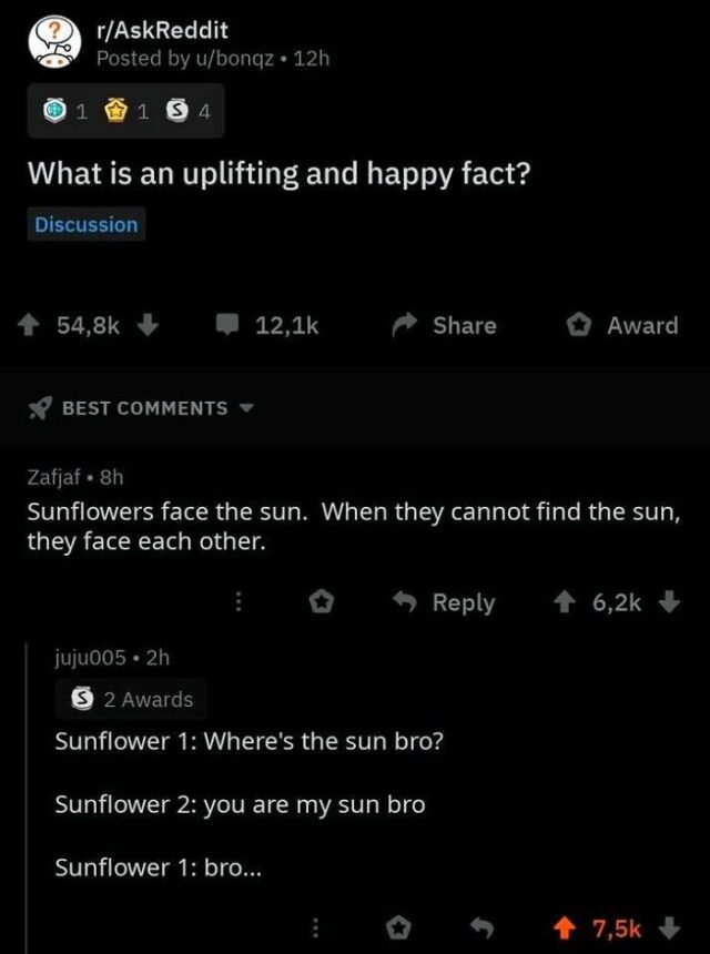 30 Funny And Witty Comments Spotted Online, As Shared By This Facebook ...