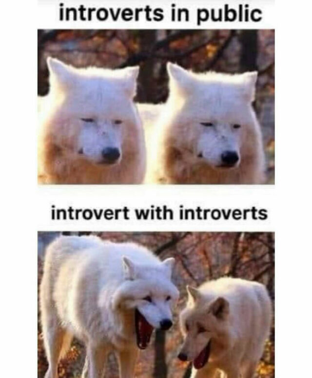 20 Funny And Relatable Memes Posted On The Instagram Page 'Antisocial ...