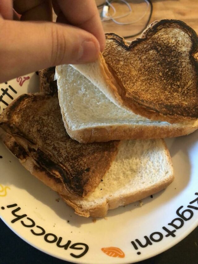 20 Times People Tried Their Hand At Cooking And Failed Miserably | DeMilked