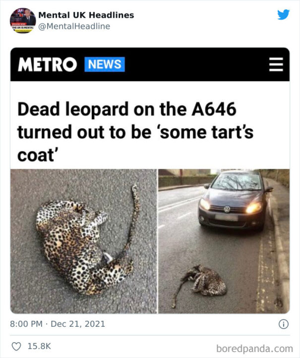30 Of The Funniest Headlines From The UK, As Shared On This Popular ...