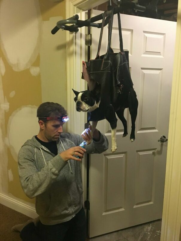 “This Is My Life Now”: 30 Oddly Hilarious Photos Of Humans And Animals ...