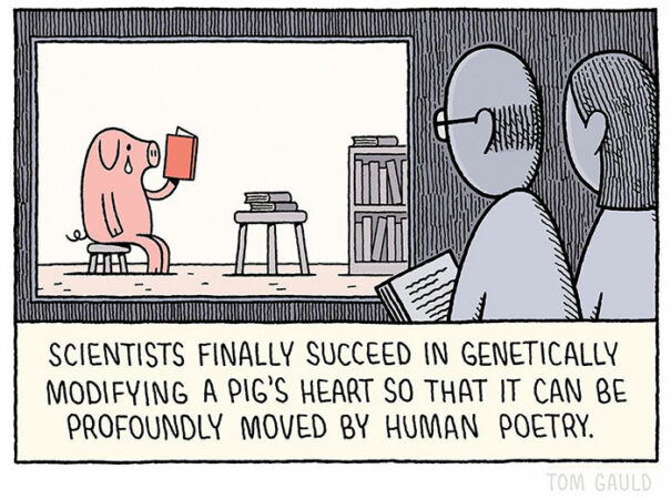 20 Humorous Comics By Tom Gauld For All The Book And Science Lovers Out ...