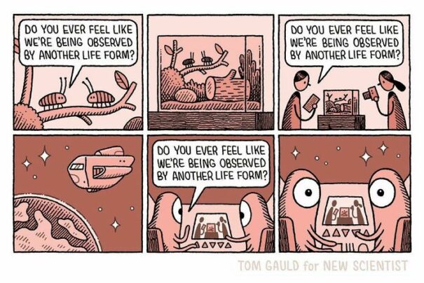 20 Humorous Comics By Tom Gauld For All The Book And Science Lovers Out ...