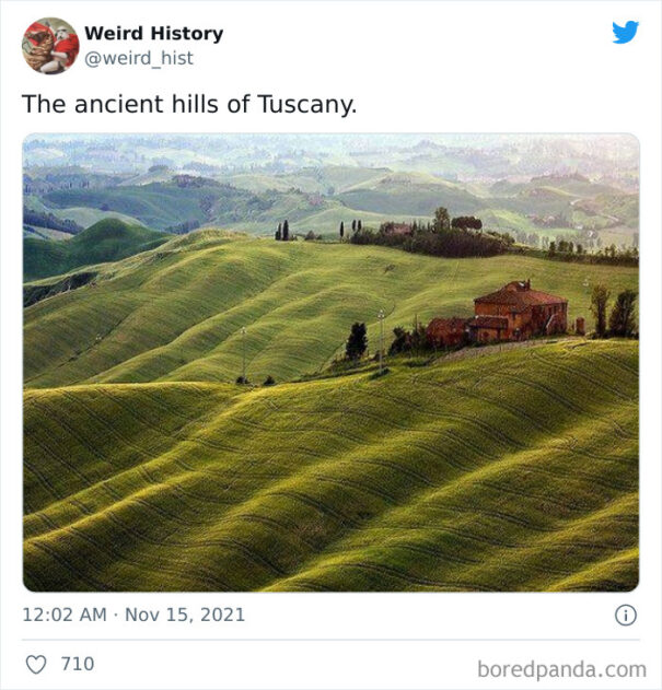 30 Of The Most Interesting Posts From The ‘Weird History’ Twitter ...