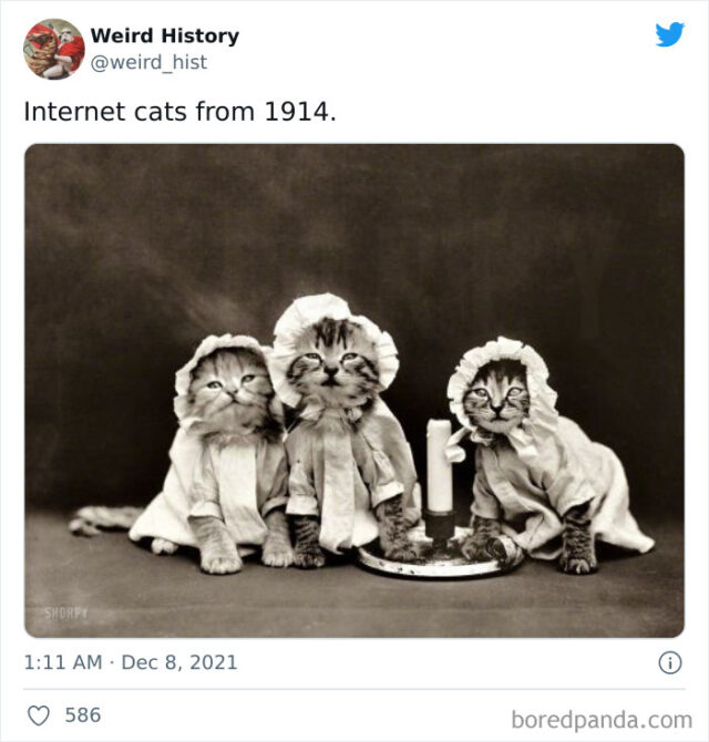 30 Of The Most Interesting Posts From The ‘Weird History’ Twitter ...